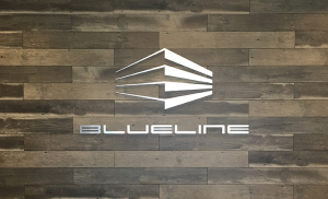 Contact Us – Blueline Associates